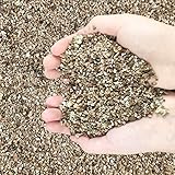 Beyond Perlite: Exploring 7 Top Perlite Alternatives For Your Garden