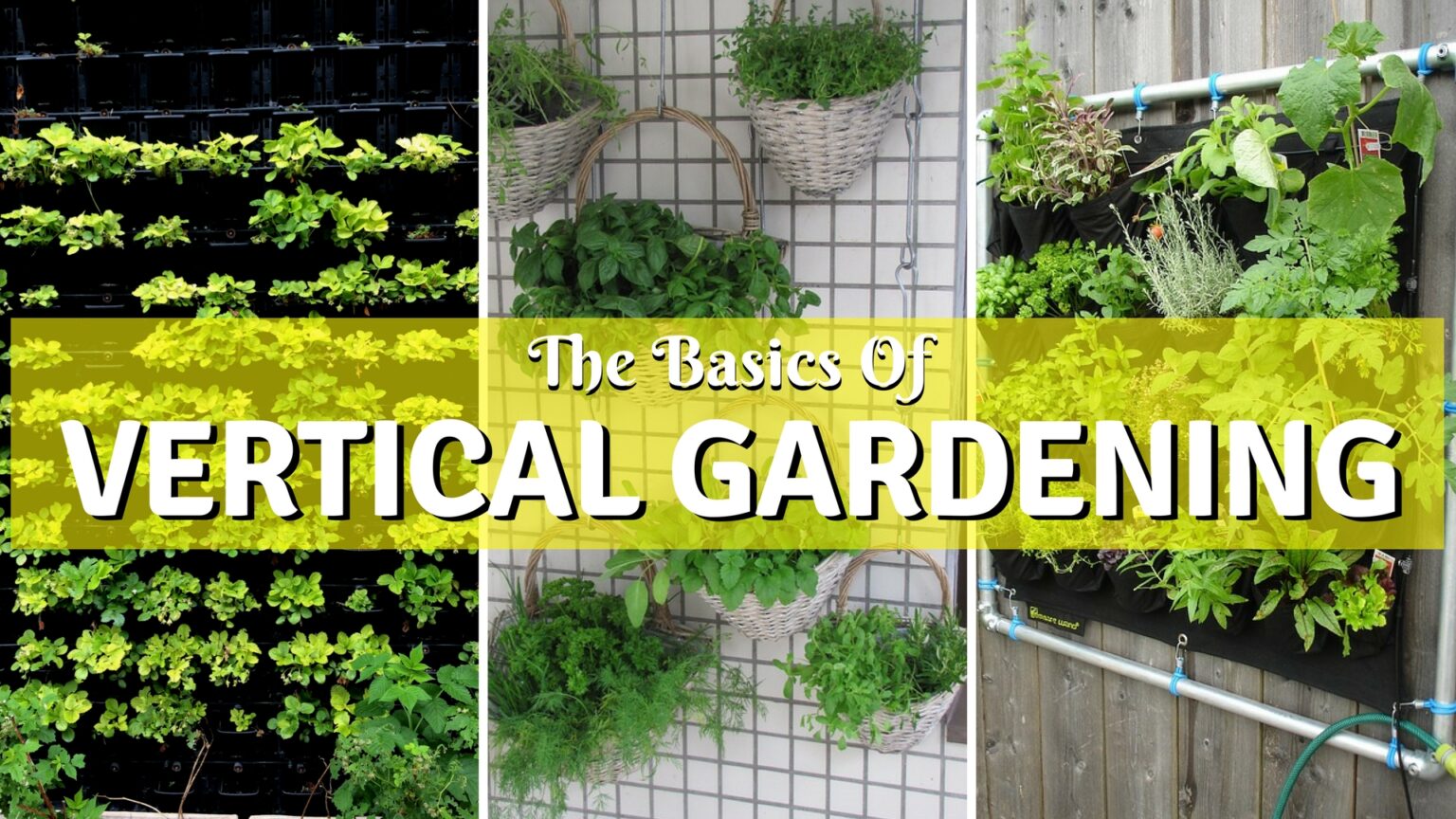 Vertical Gardening 101: How To Get Started With Your Own Vertical ...
