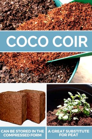 What Is Coco Coir And How To Use It In Gardening
