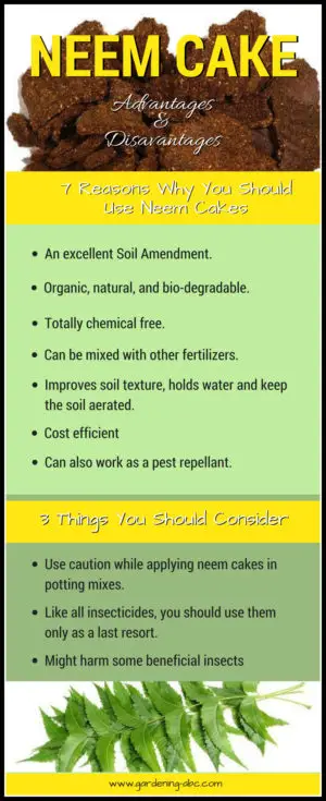 Neem Cake: The Best Organic Fertilizer For Enriching Your Soil Fertility