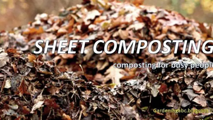 Sheet Composting Process: An Easy Step-By-Step Guide For Beginners