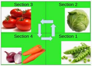 Ultimate Crop Rotation Guide: How To Create A Successful Rotation Plan