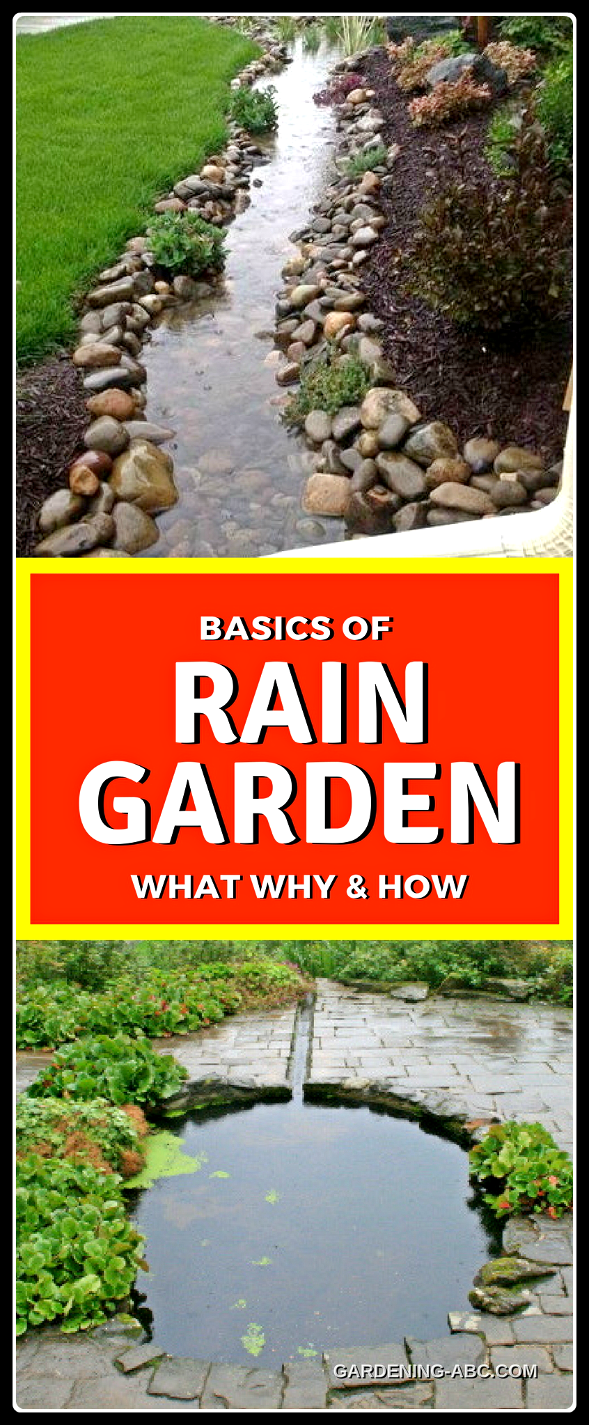 Basics Of Rain Garden | What, Why And How Of Building A Great Garden