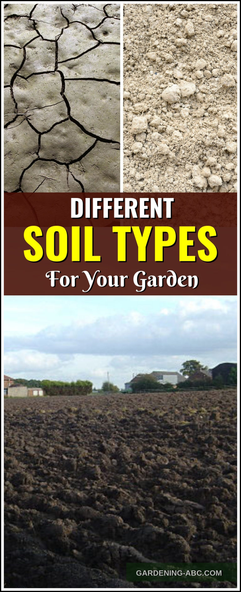 4 Different Types Of Soil: Which Soil Type Is Right For You?