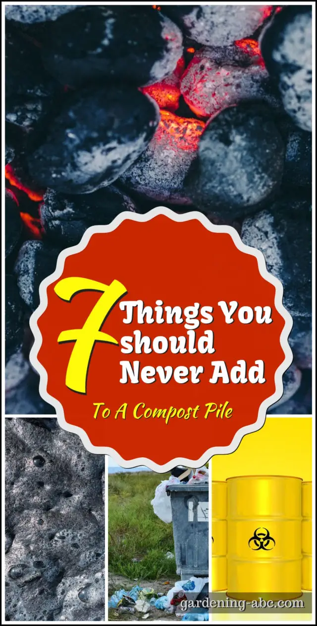 What Not To Compost: 7 Things You Should Never Put In Compost Bin