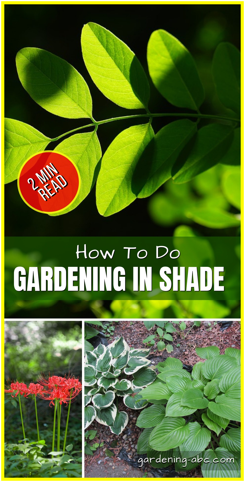 How To Grow Vegetables In Shade: Tips And Tricks For Mastering The Art ...
