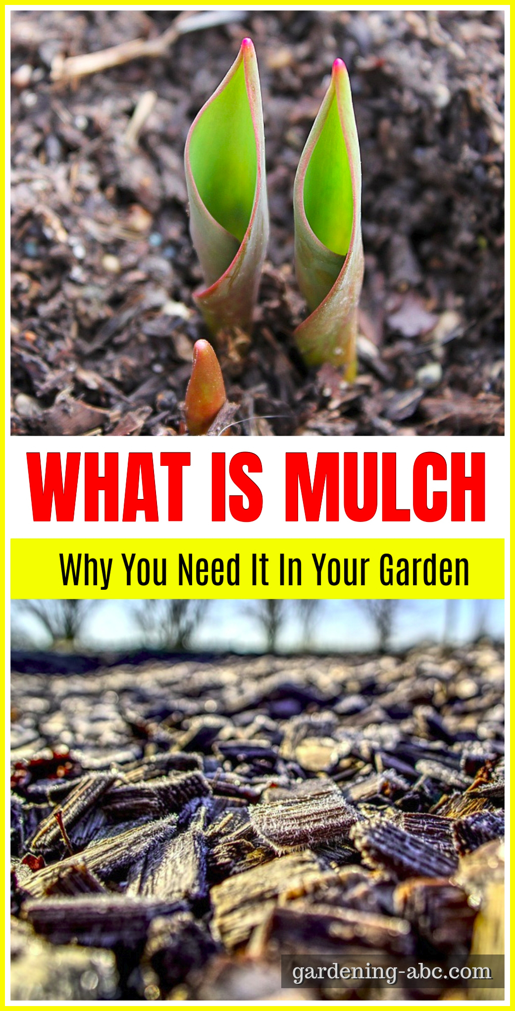 What Is Mulch: How Mulch Can Add Wonders To Your Garden