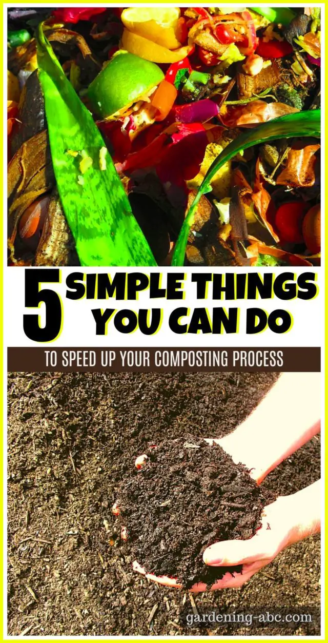 How To Speed Up Composting: Here Are 5 Tips To Faster Decomposition