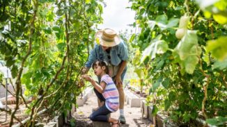 16 Reasons Why Gardening As A Hobby Is Better Than Any Other