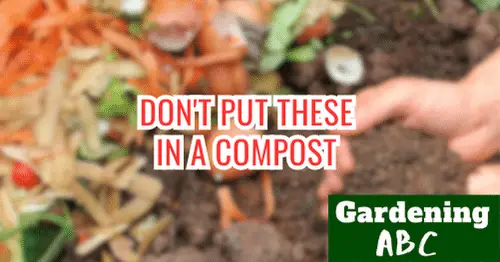 What Not To Compost: 7 Things You Should Never Put In Compost Bin