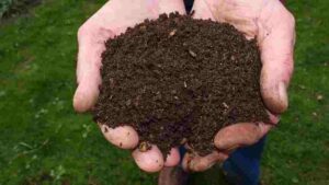 How To Speed Up Composting: Here Are 5 Tips To Faster Decomposition