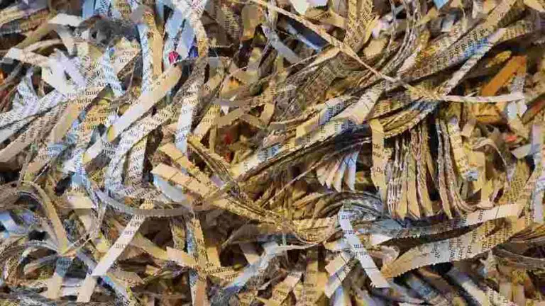 How To Speed Up Composting: Here Are 5 Tips To Faster Decomposition