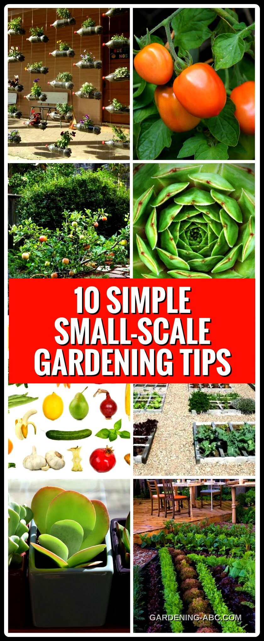 Small Scale Garden Success With 10 Simple Tricks