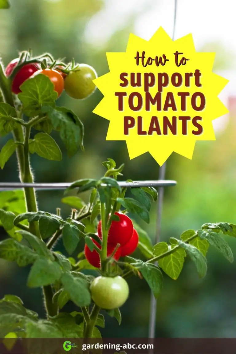 How To Support Tomato Plants (Stakes, Cages, Trellis, Florida‑Weave ...