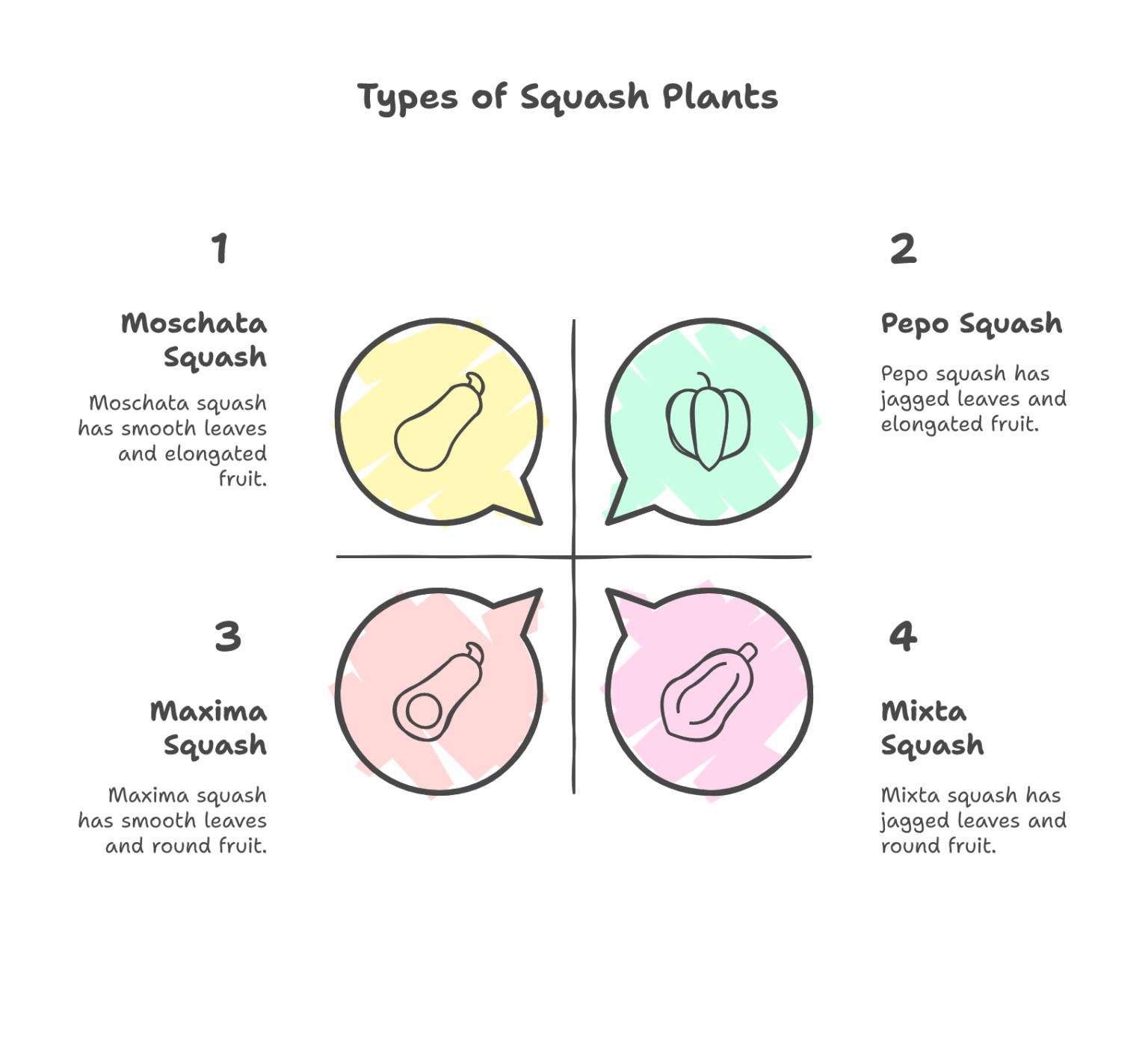 How To Easily Identify Squash Plants By Leaves: A Simple Guide