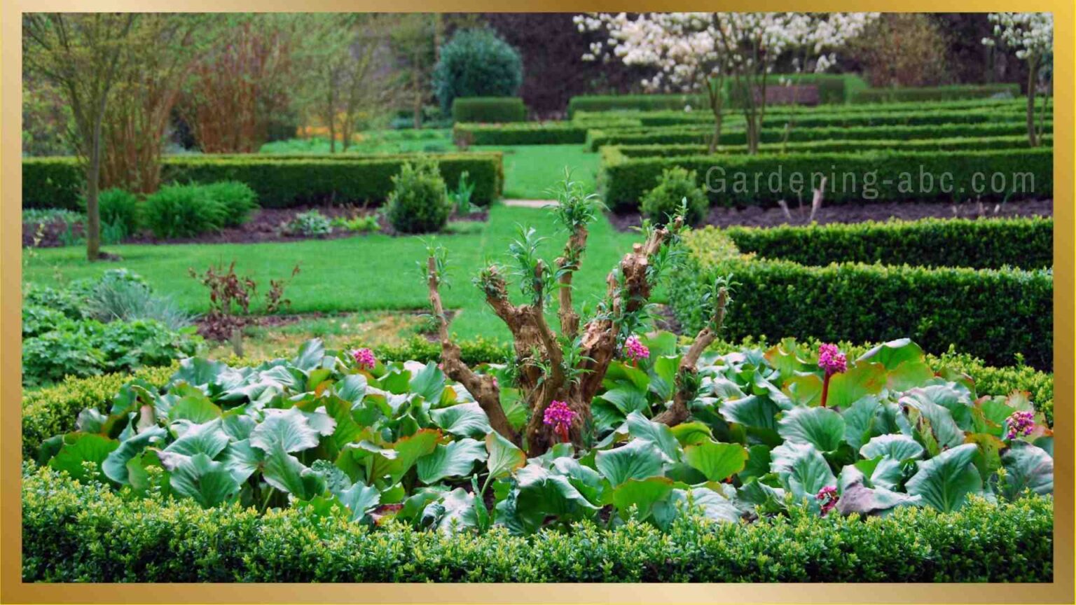 How To Start An Ornamental Garden: A Comprehensive Guide