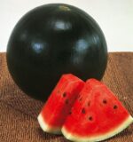 How To Grow And Take Care Of Black Diamond Watermelons