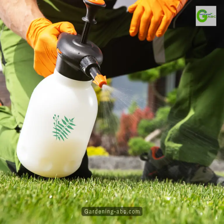 Defeating Sticker Weeds: Expert Strategies For A Pristine Lawn