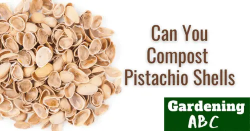 Are Pistachio Shells Compostable? Can I Add Them To The Compost Pile?
