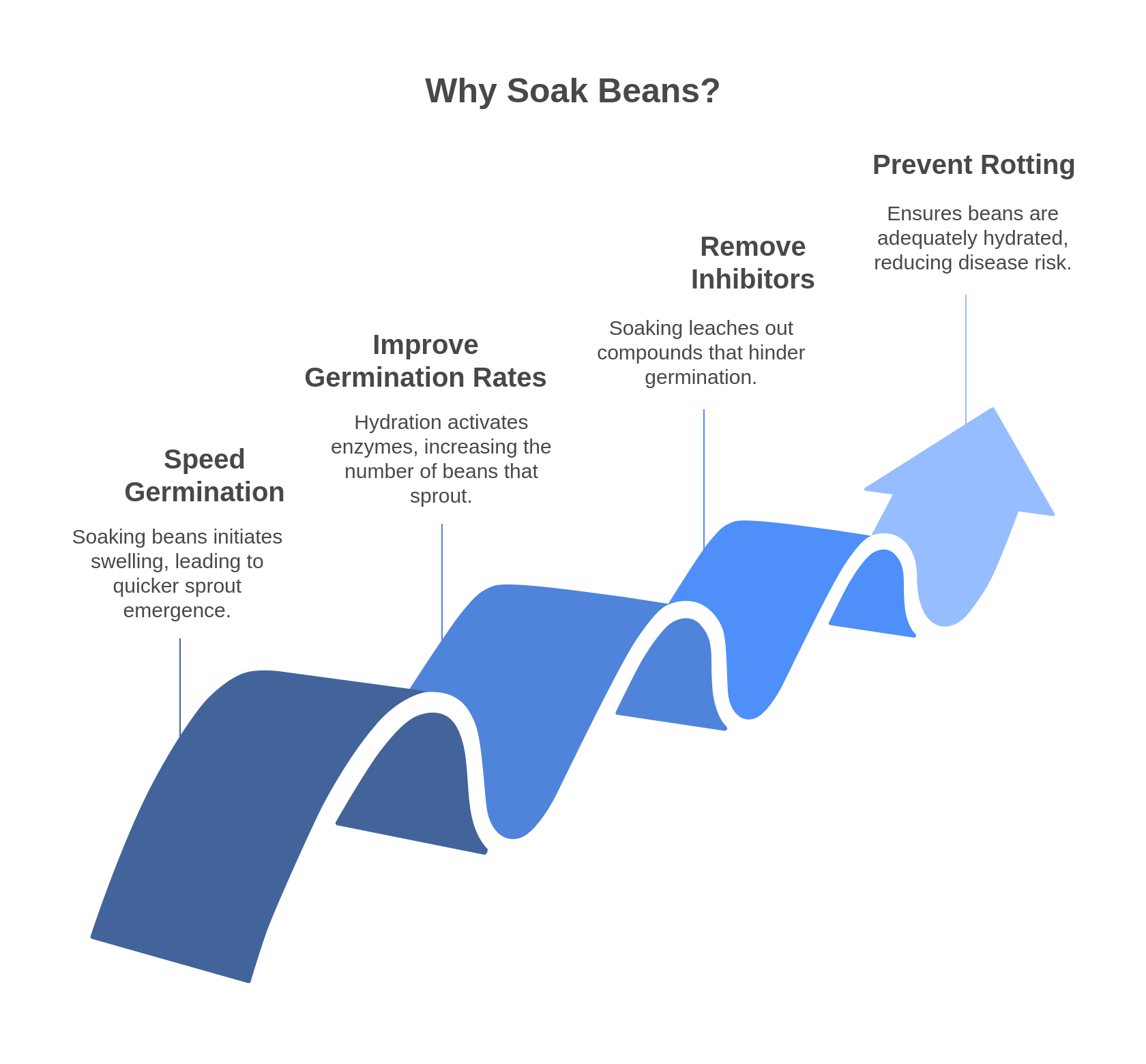 Should You Soak Beans Before Planting? Some Crucial Information