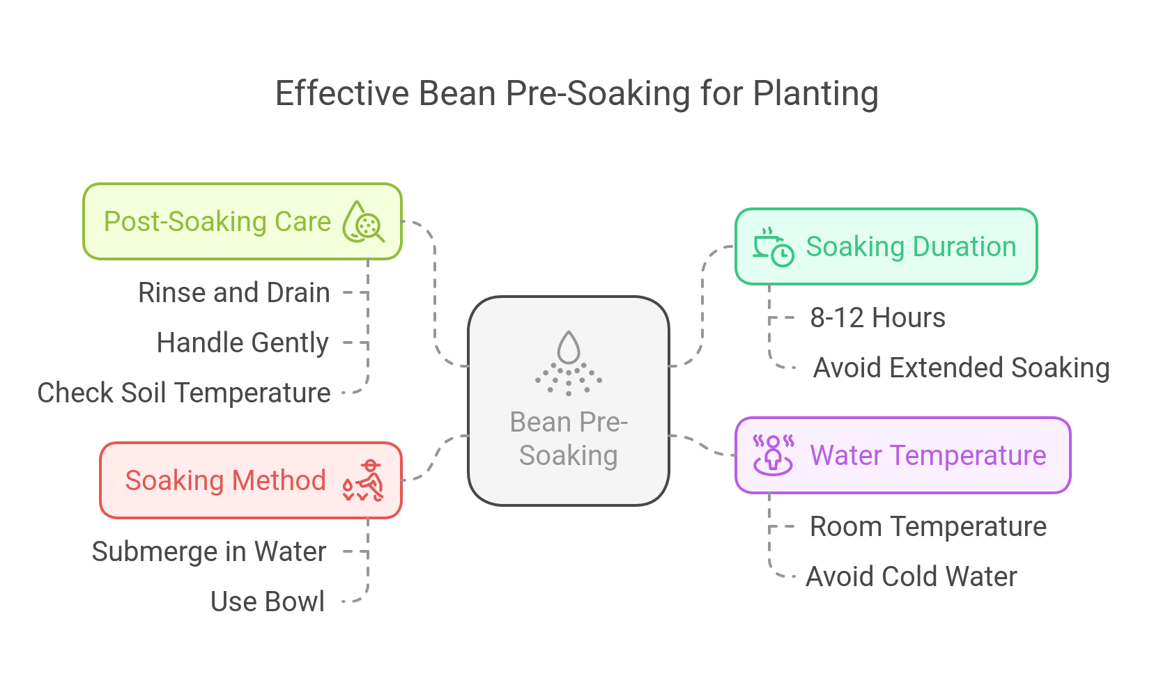 Should You Soak Beans Before Planting? Some Crucial Information