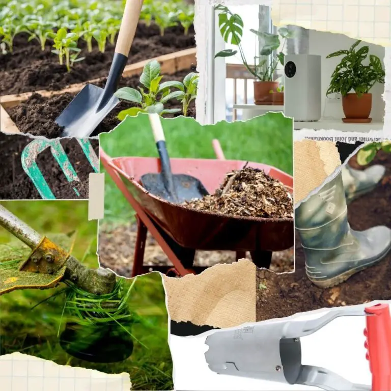 Your Garden Toolkit: The Must-Have Tools For New Gardeners (Simple ...