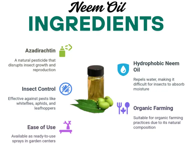 How To Use Neem Oil Effectively Without Harming Your Plants