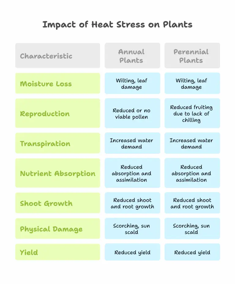 Temperature And Plant Growth: How Does Temperature Affect Plant Growth